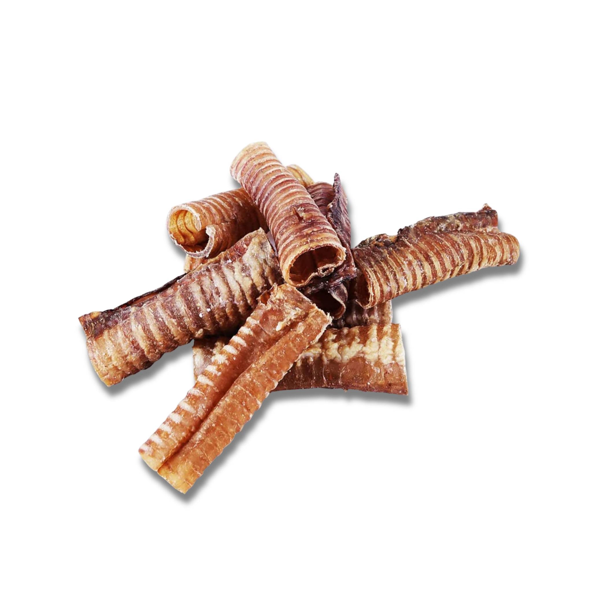 Beef Trachea Chew – The Conscious K9