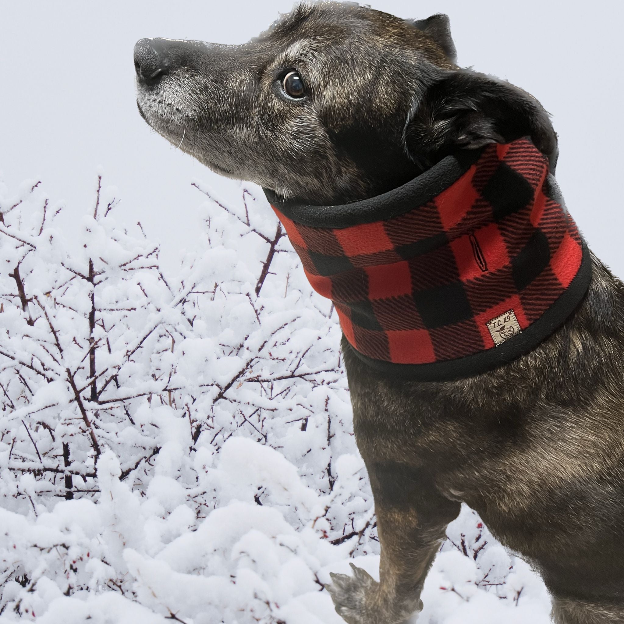 Buffalo Check Scruff Muff Neck Warmer – The Conscious K9